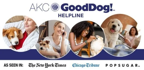 AKC ReuniteSM & GoodDog!SM Helpline